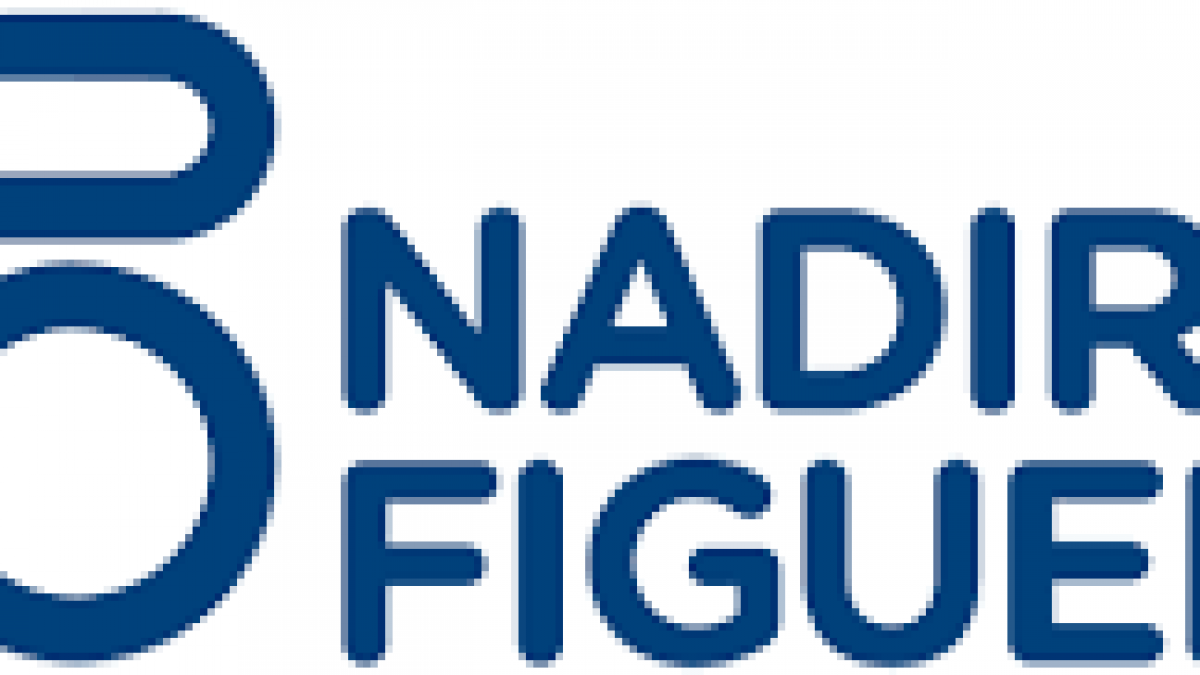 Logotipo De Nadir Figueiredo Antigos Potes De Sobremesa Da Marca Nadir