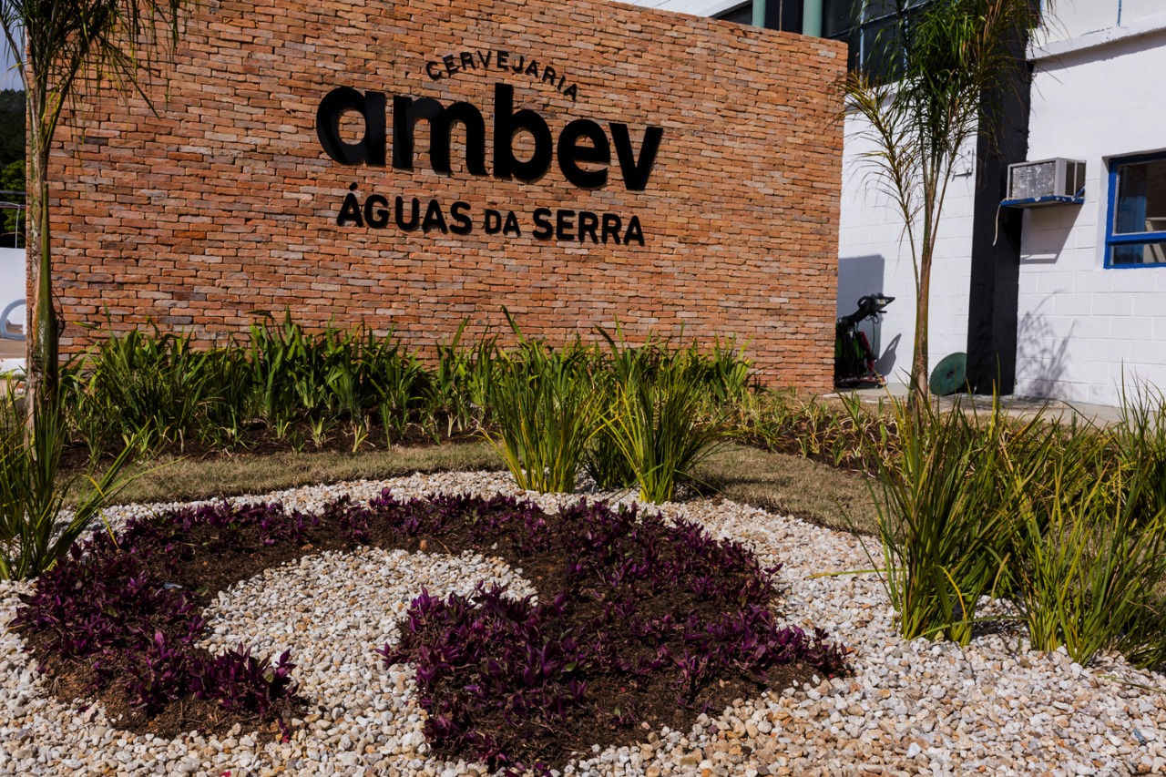 Ambev em 2021 – História da empresa, atuação e estratégias – Investidor ...