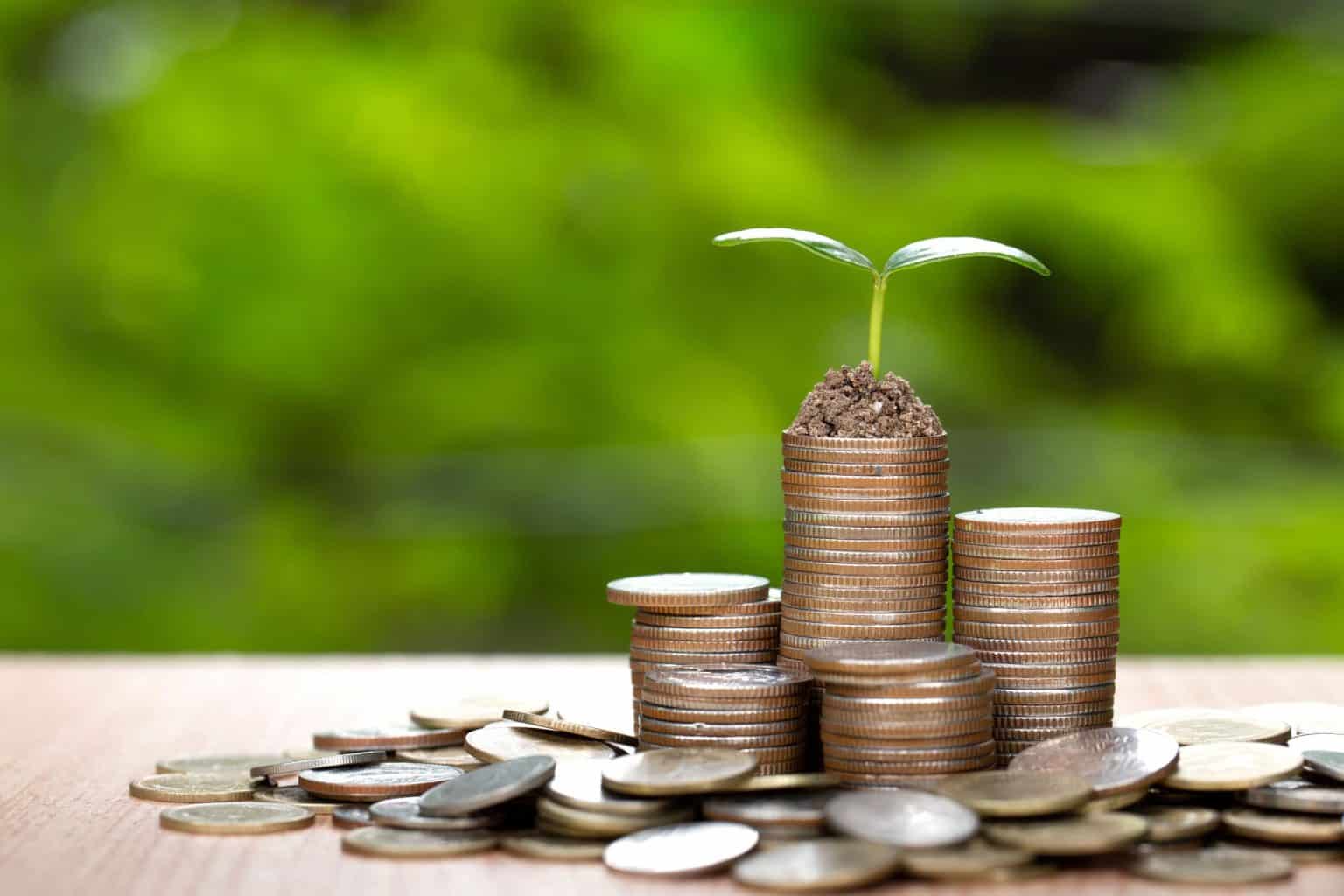 Primeiro investimento: passo a passo para começar a investir ...