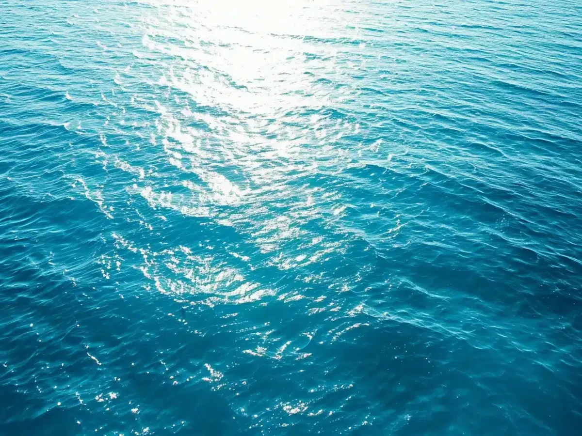 Oceano Azul O Que E Instituto Oceano Azul L 1º CENTRO REFERÊNCIA